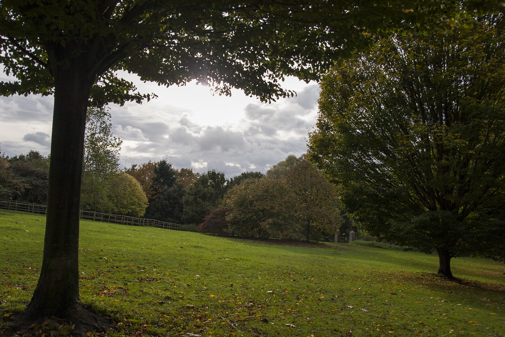 Cobtree Manor Park - Explore Kent