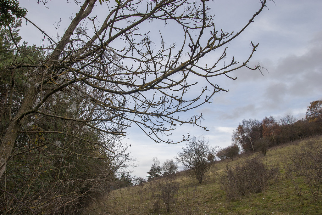 Preston Hill - Explore Kent